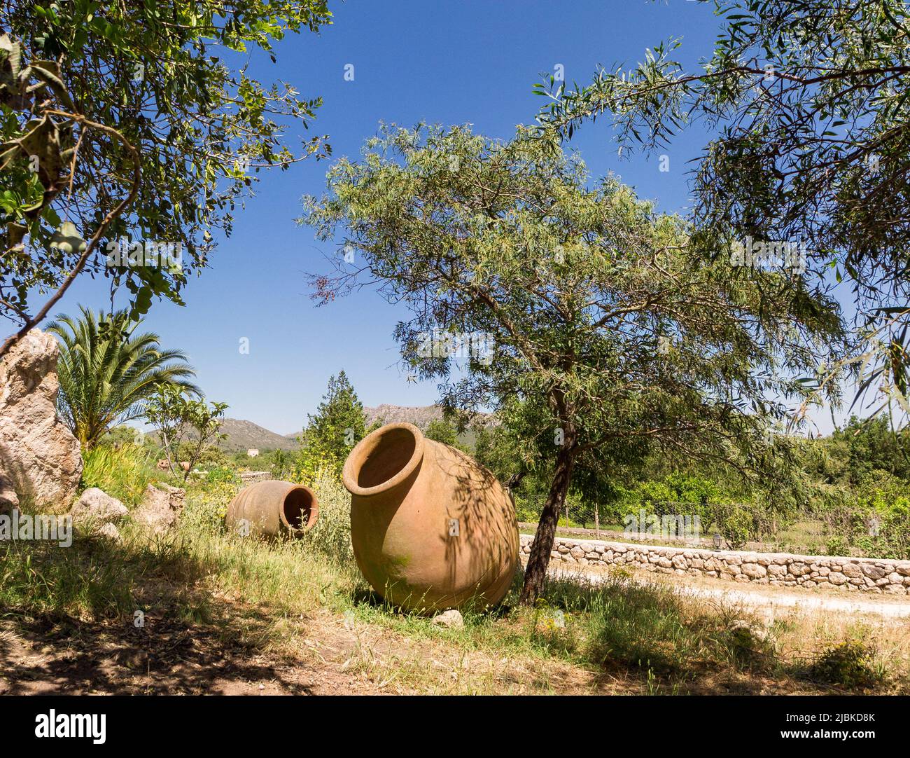 Large terracotta jar under a tree Stock Photo - Alamy