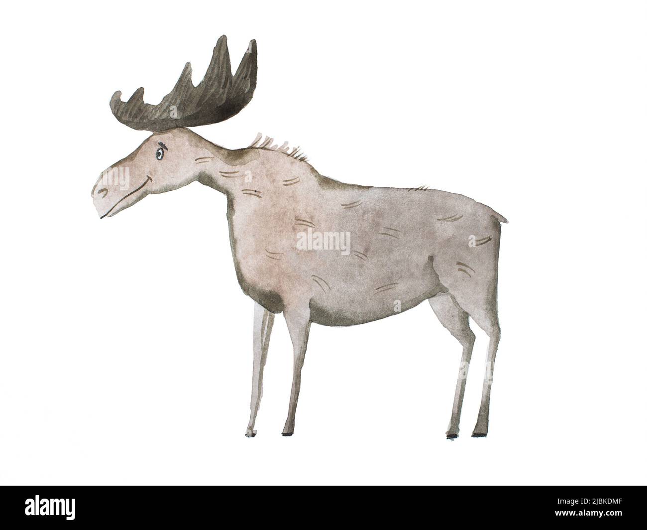 Aquarelle illustration of smiling moose or elk on white background ...