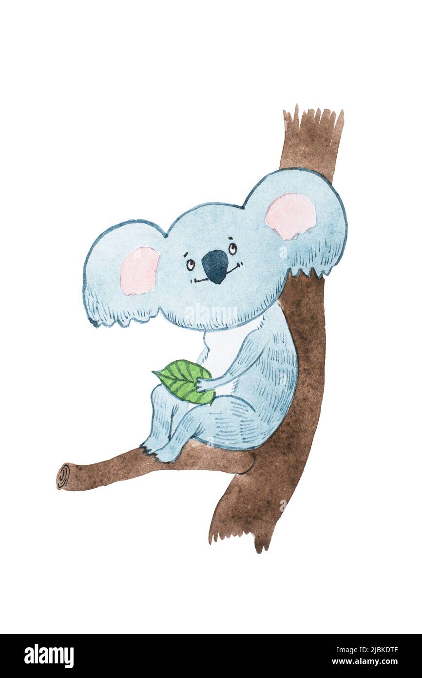 Koalas In Trees Drawing
