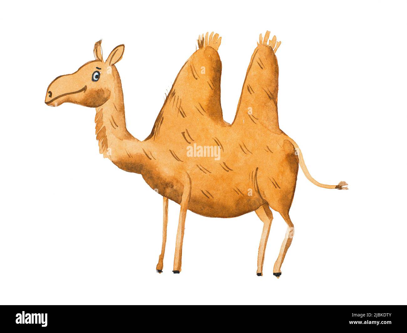 Camel hand draw illustration Cut Out Stock Images & Pictures - Alamy