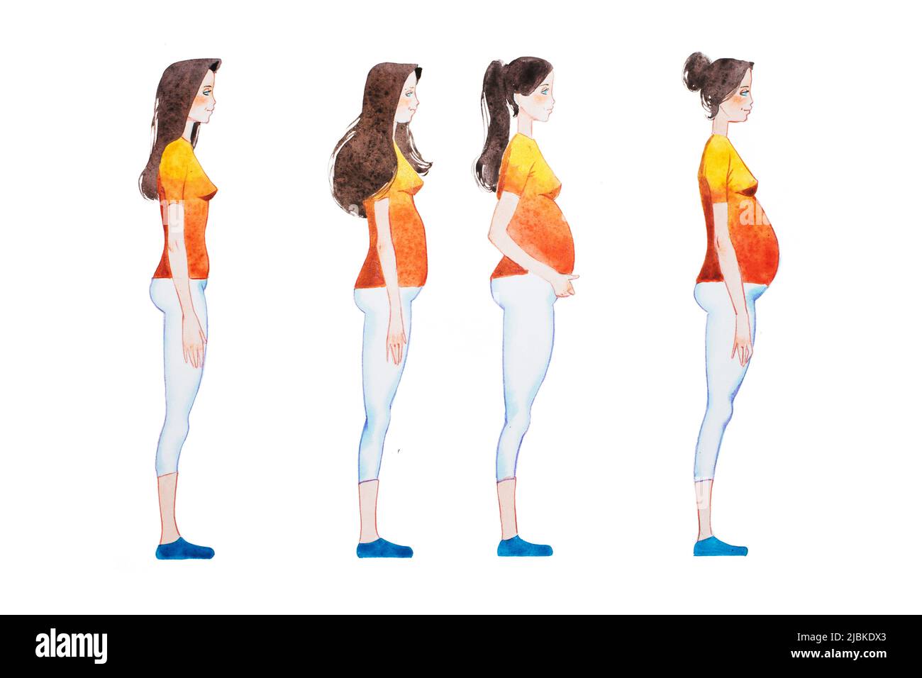 Cartoon illustration of pregnancy stages. Side view image of pregnant ...