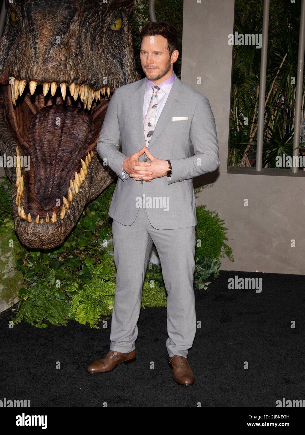 June 6, 2022, Hollywood, California, USA: Chris Pratt attends the Los ...