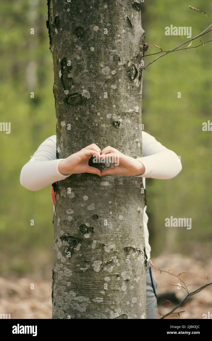 Child's hands making a heart shape on a tree trunk. Embracing ...