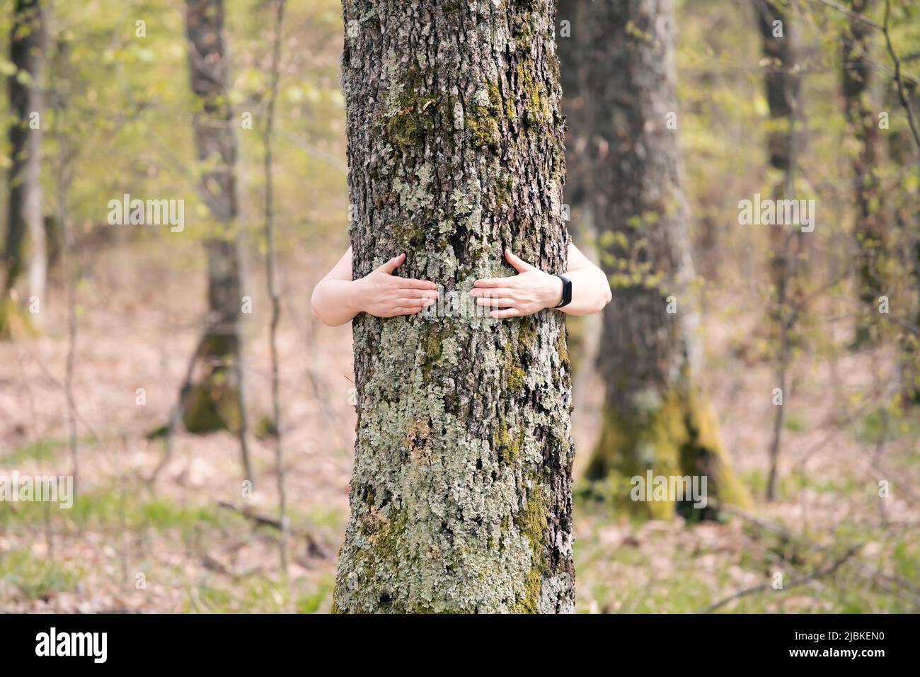 Sustain and conserve nature hi-res stock photography and images - Alamy