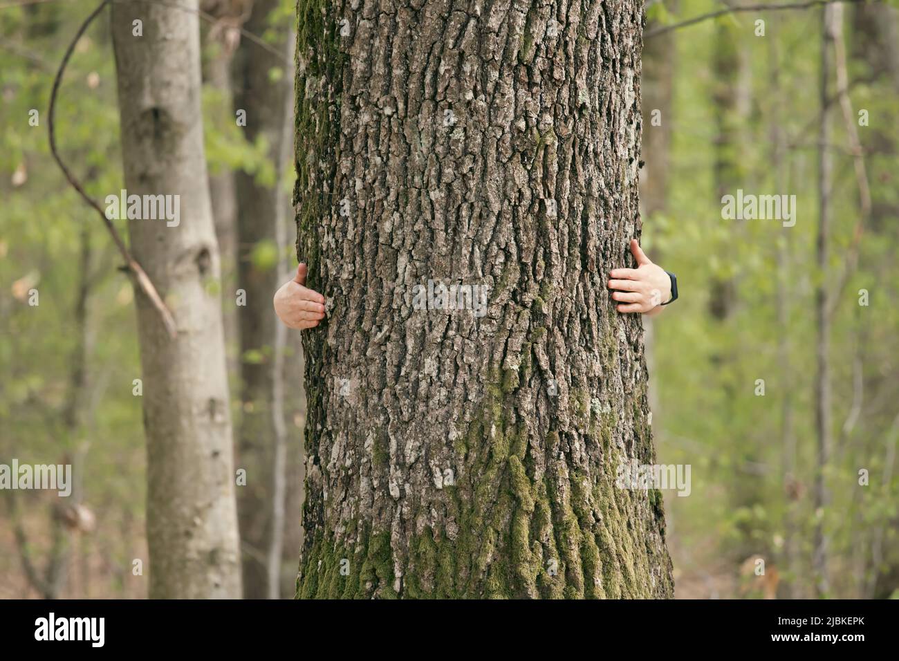 Sustain and conserve nature hi-res stock photography and images - Alamy
