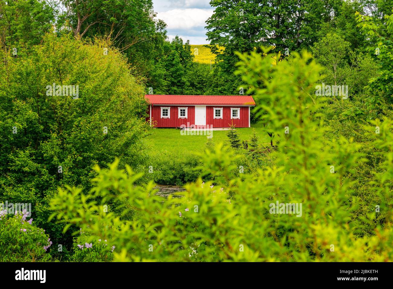 Red wooden house in a nature with a lot of green trees and lawn ...