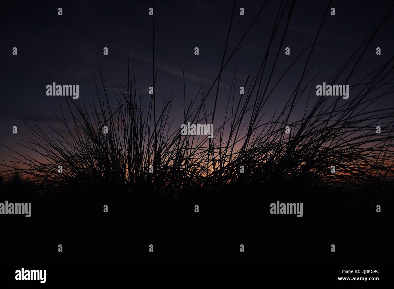 Shallotte hi-res stock photography and images - Alamy