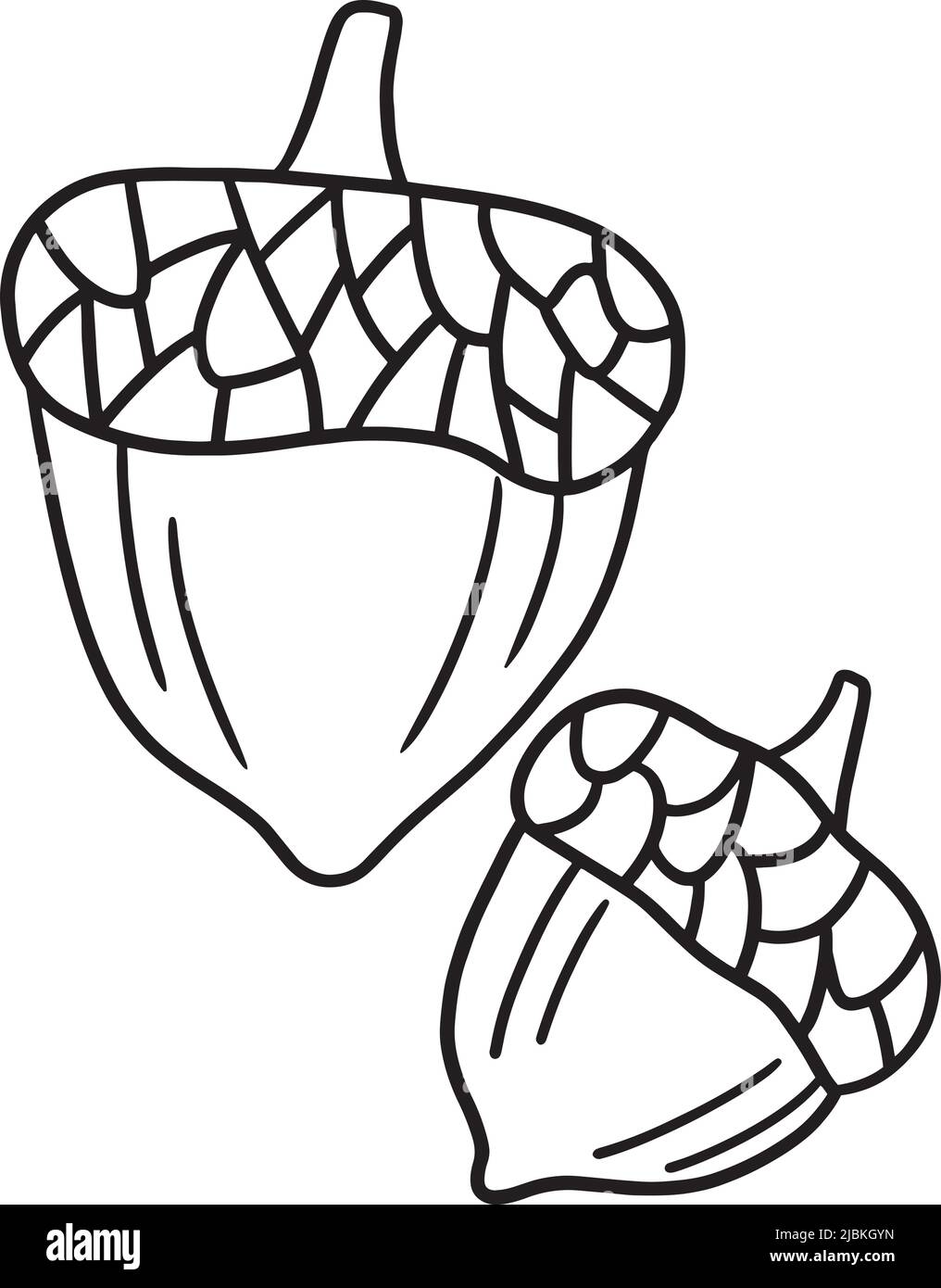 Thanksgiving Acorn Isolated Coloring Page for Kids Stock Vector Image ...