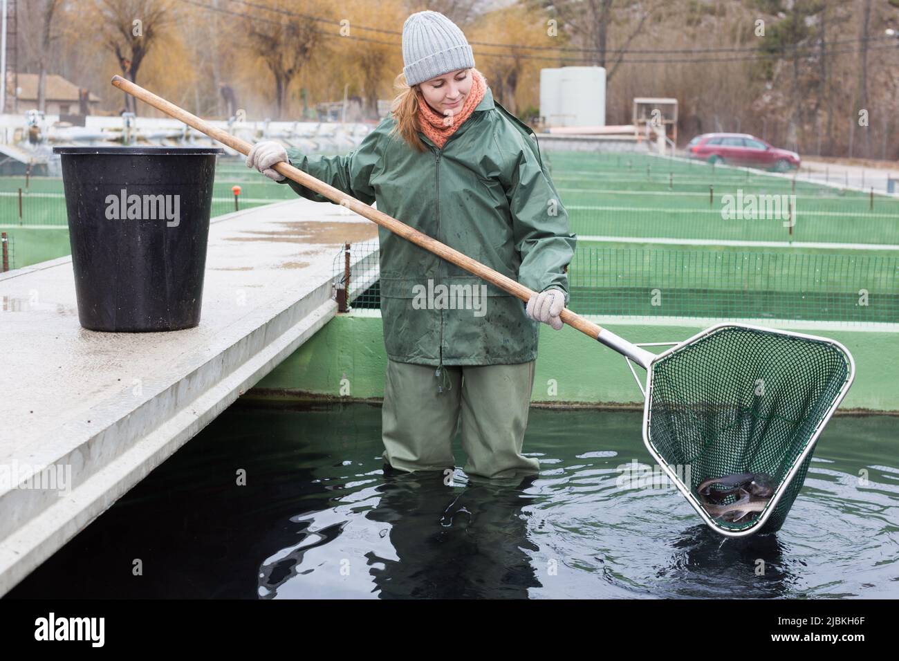 Sturgeon landing hi-res stock photography and images - Alamy