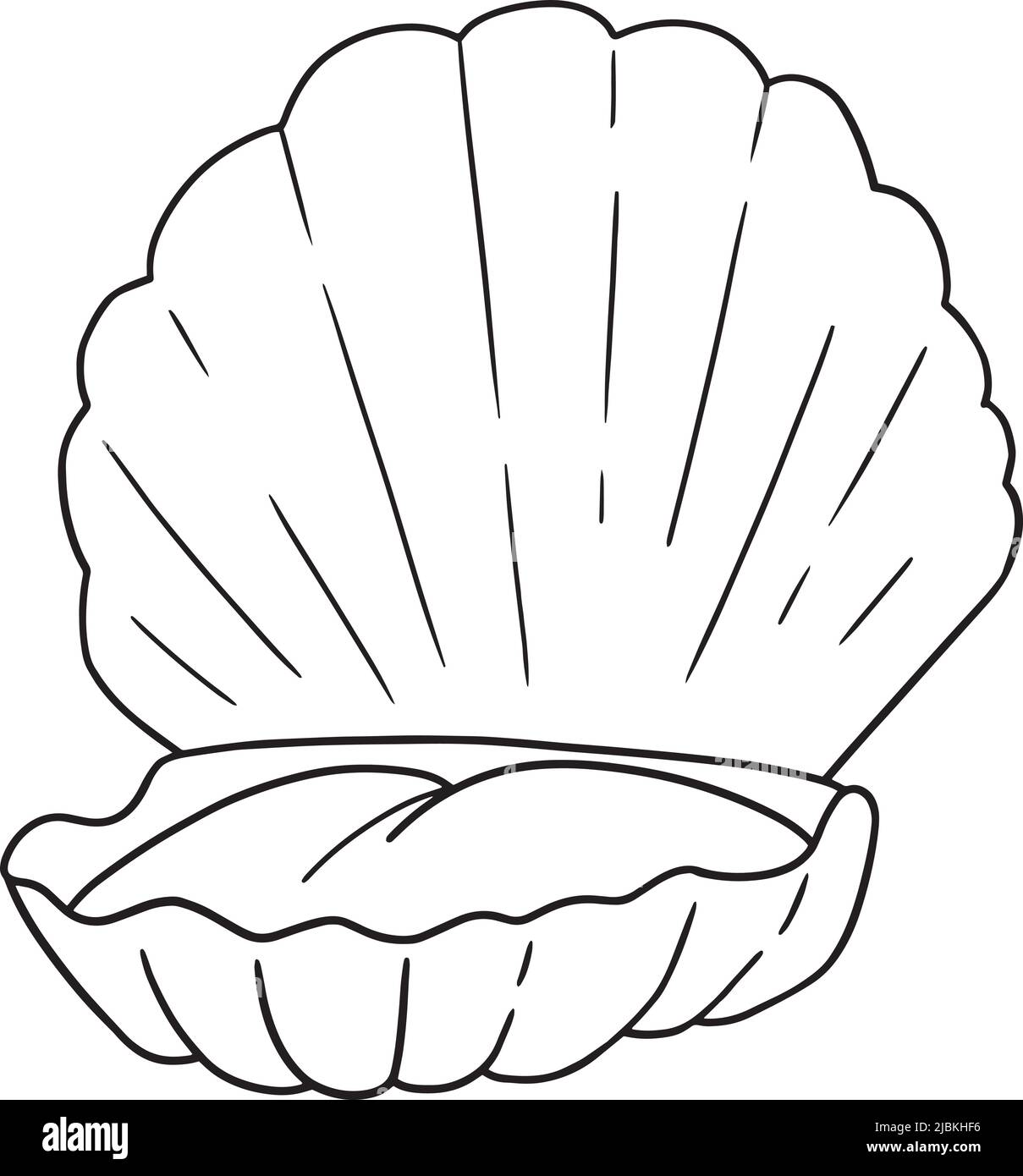 Shell Drawings Kids
