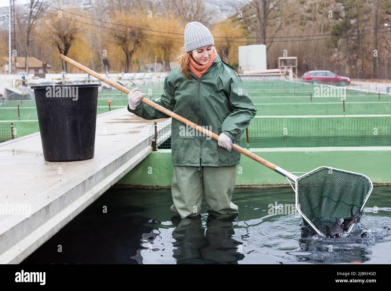 Woman standing in fish tank catching fish on farm Stock Photo - Alamy