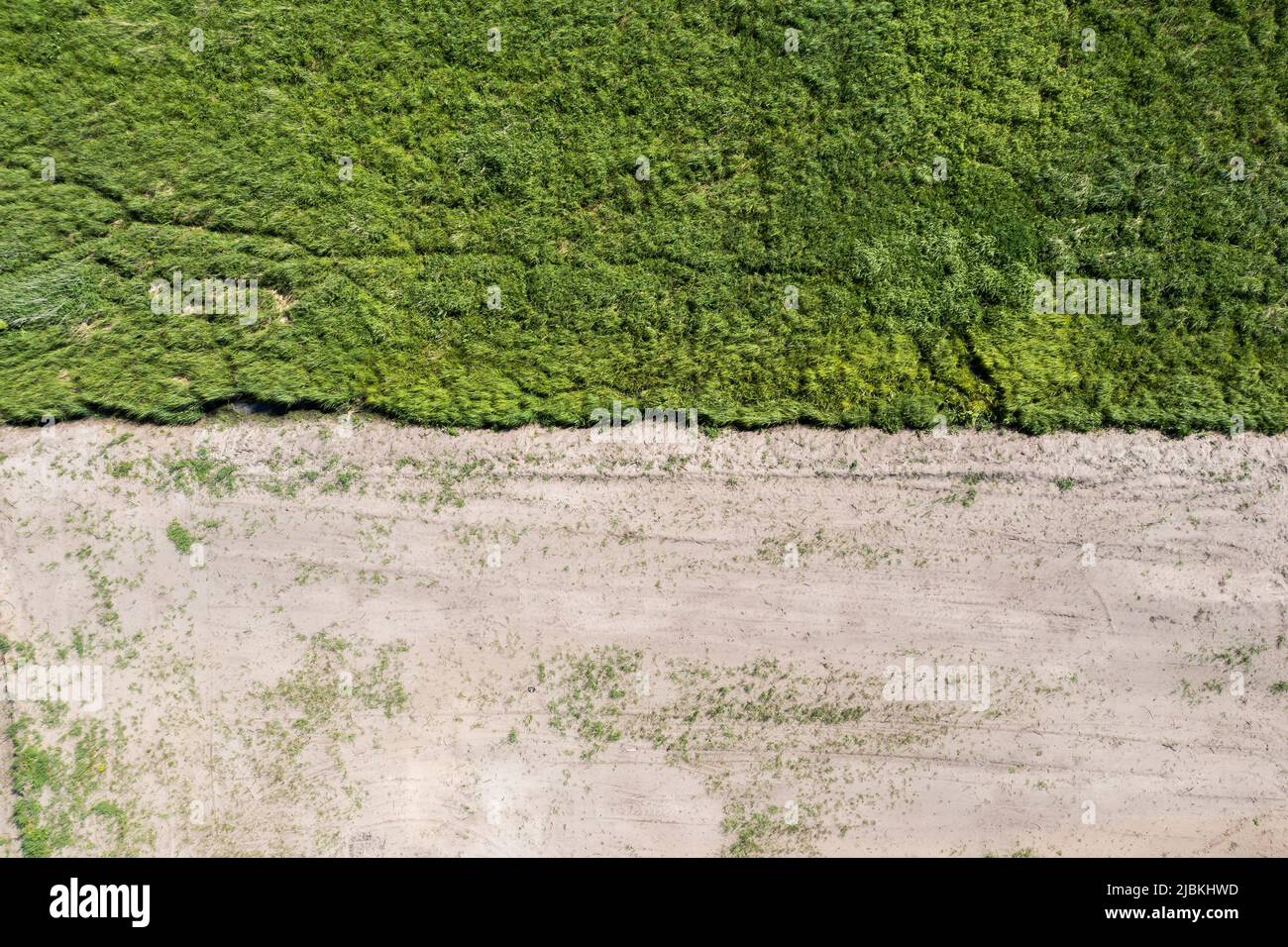 Drone view of field and lands, rural drone landscape, texture Stock ...