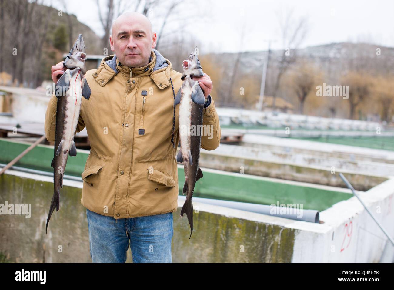 Fish farmer holding sturgeons Stock Photo - Alamy