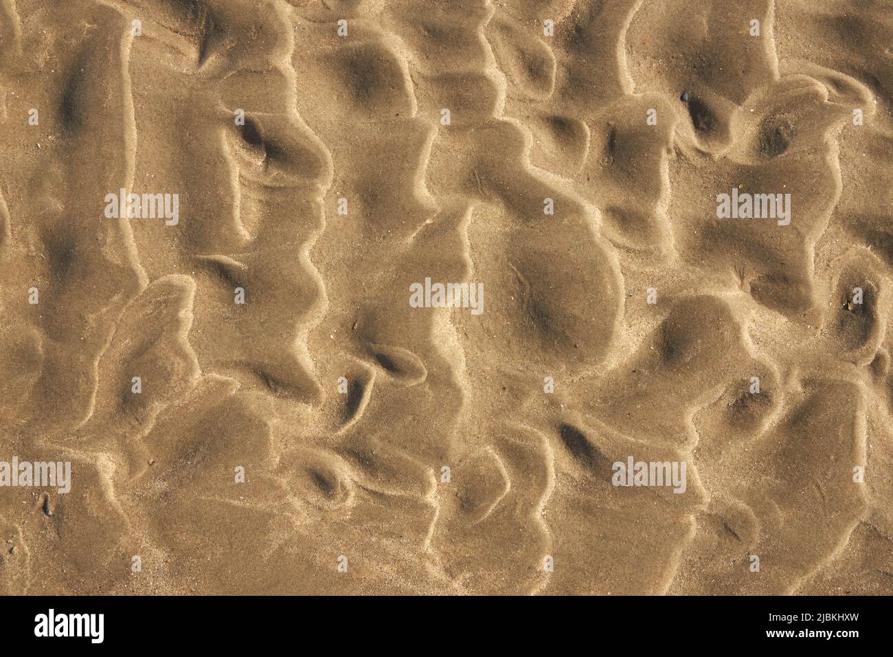 Struktur shell hi-res stock photography and images - Alamy