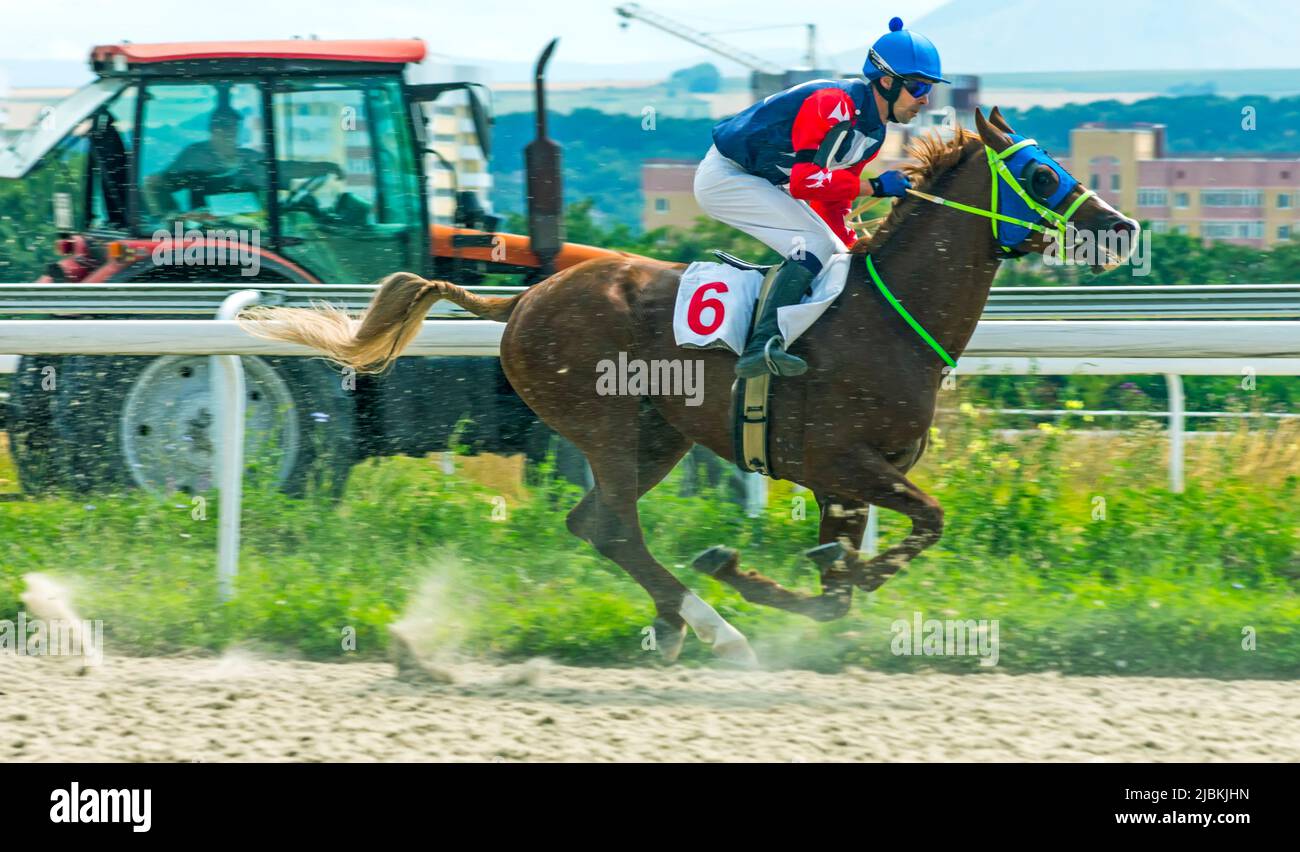 Horse race summer prize hi-res stock photography and images - Alamy