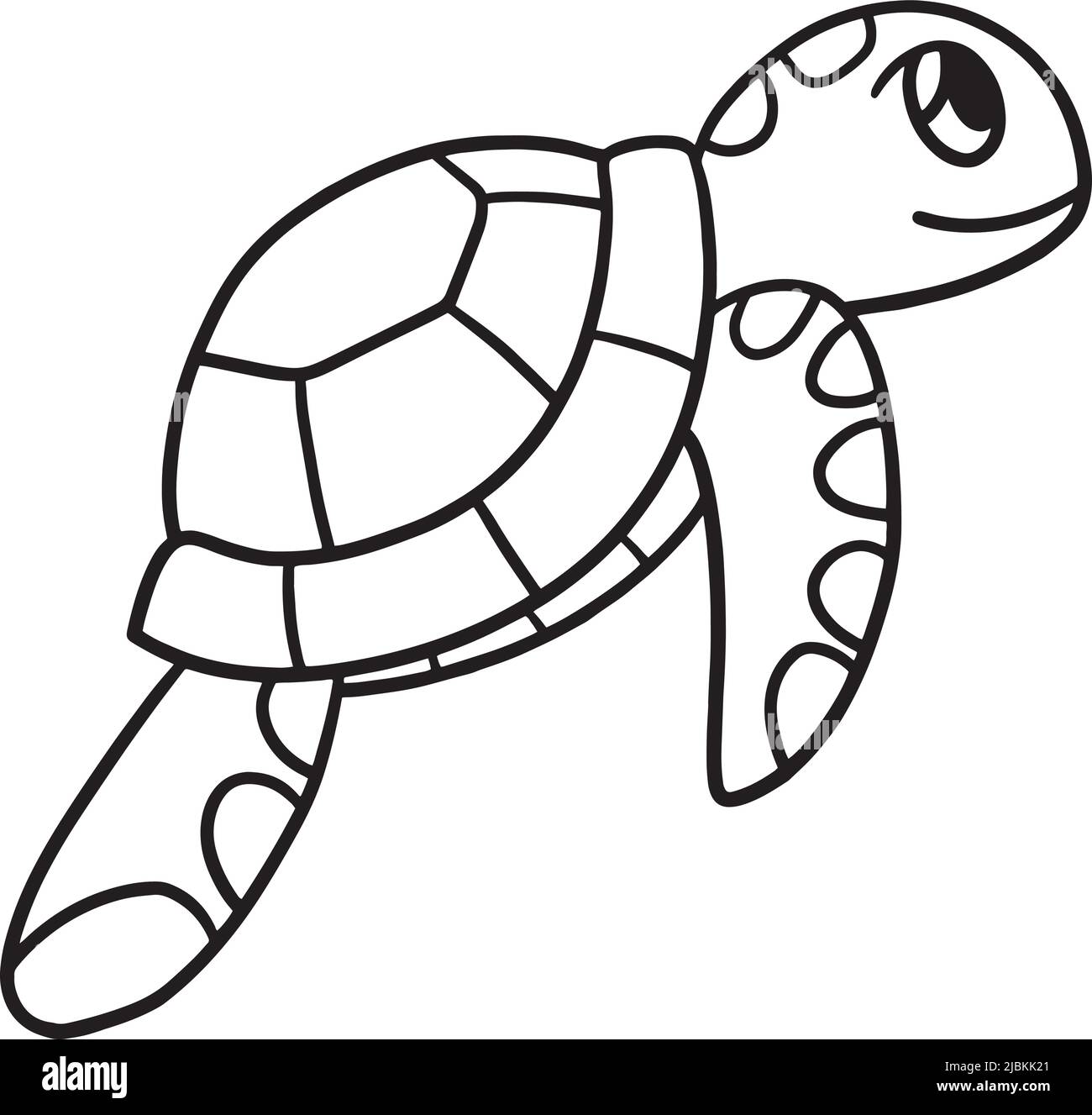 Sea turtle hand drawn Black and White Stock Photos & Images - Alamy