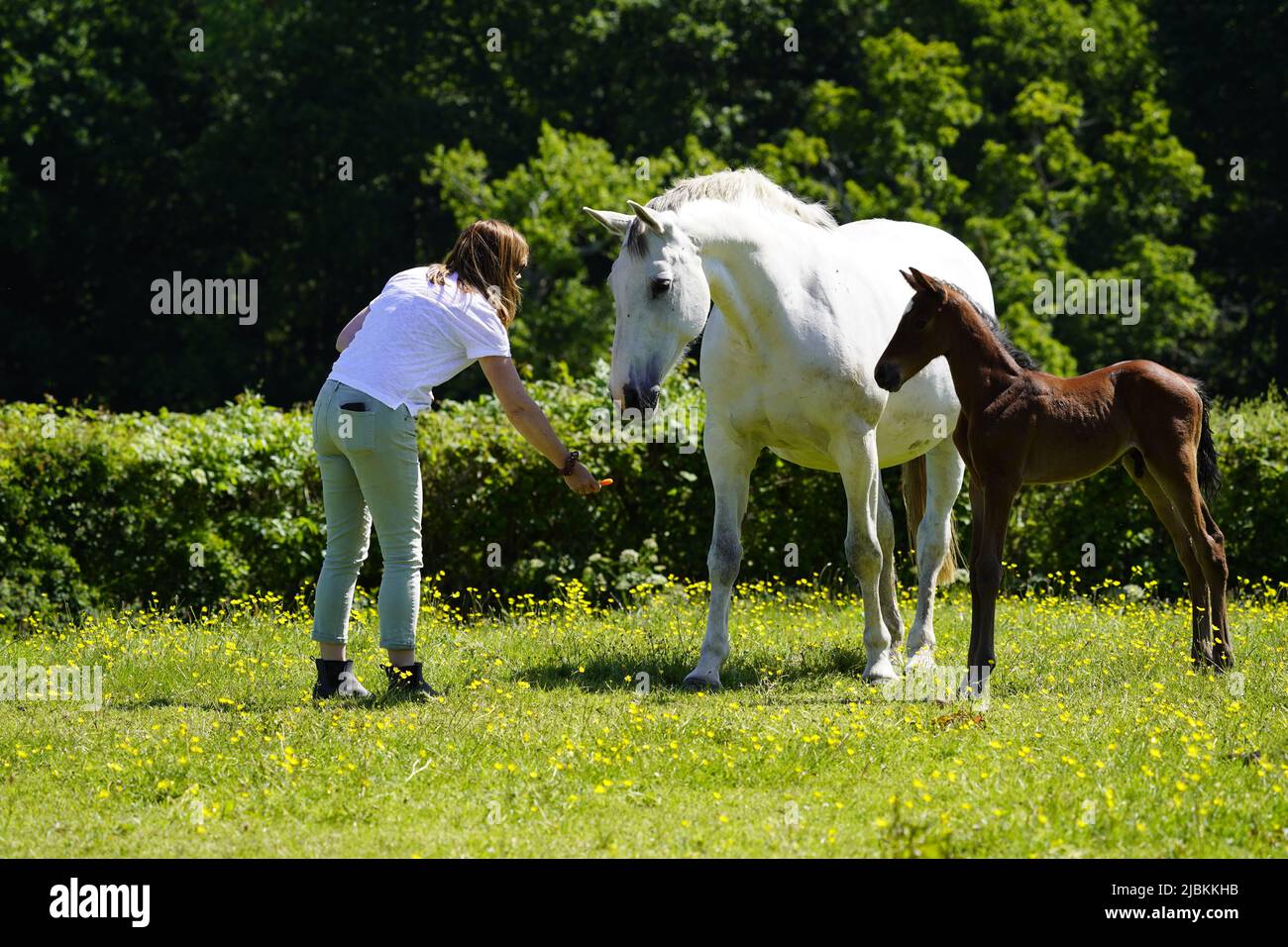 New well dam hi-res stock photography and images - Alamy