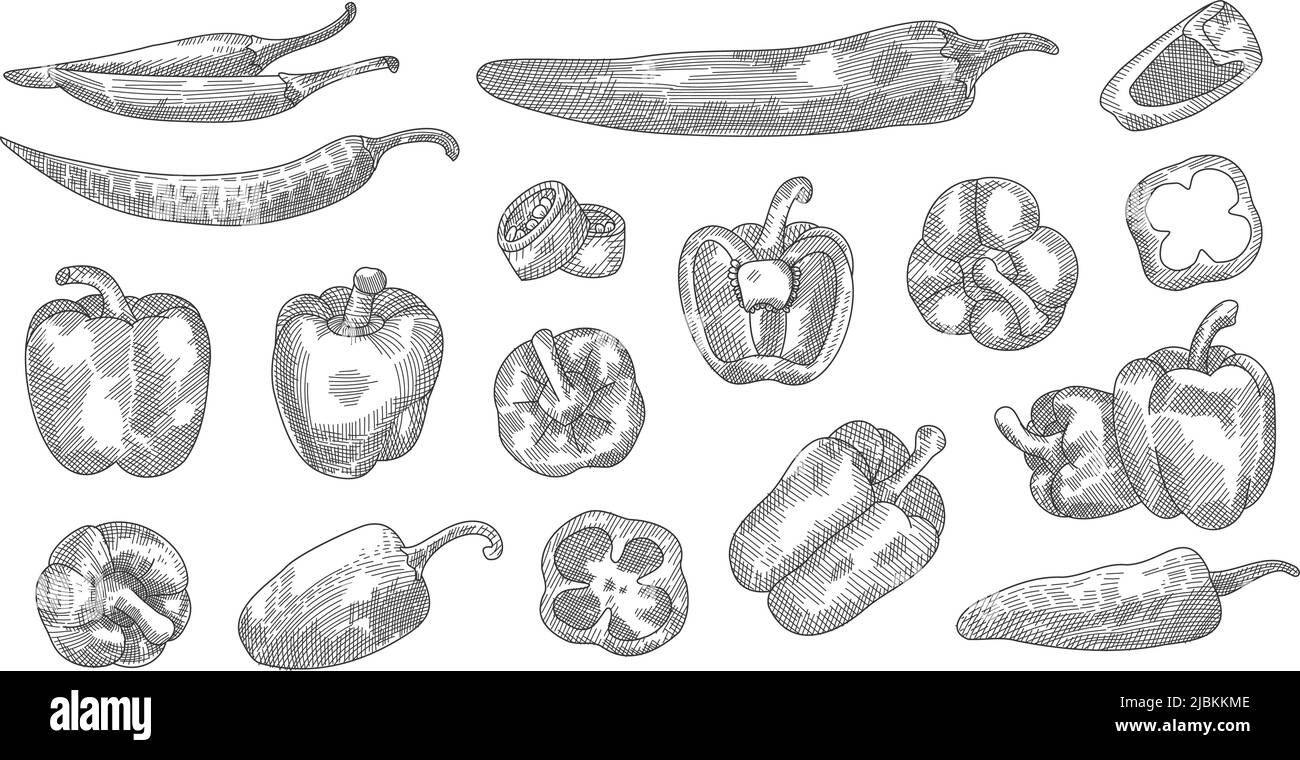 Red bell peppers in Stock Vector Images - Alamy