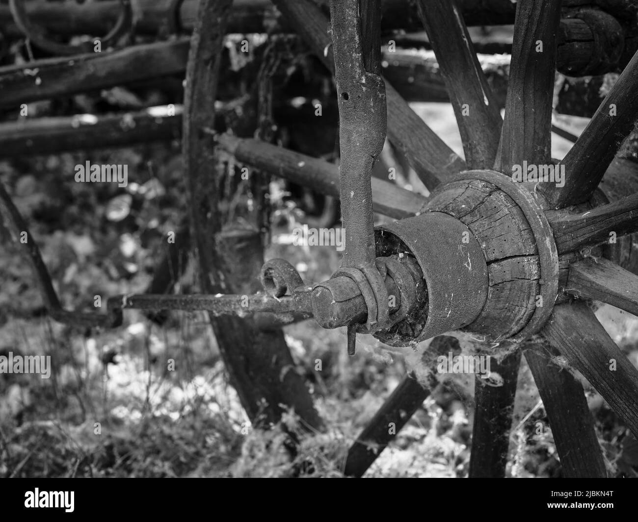 Detail of a wheel on an old ruined wooden carriage in black and white ...