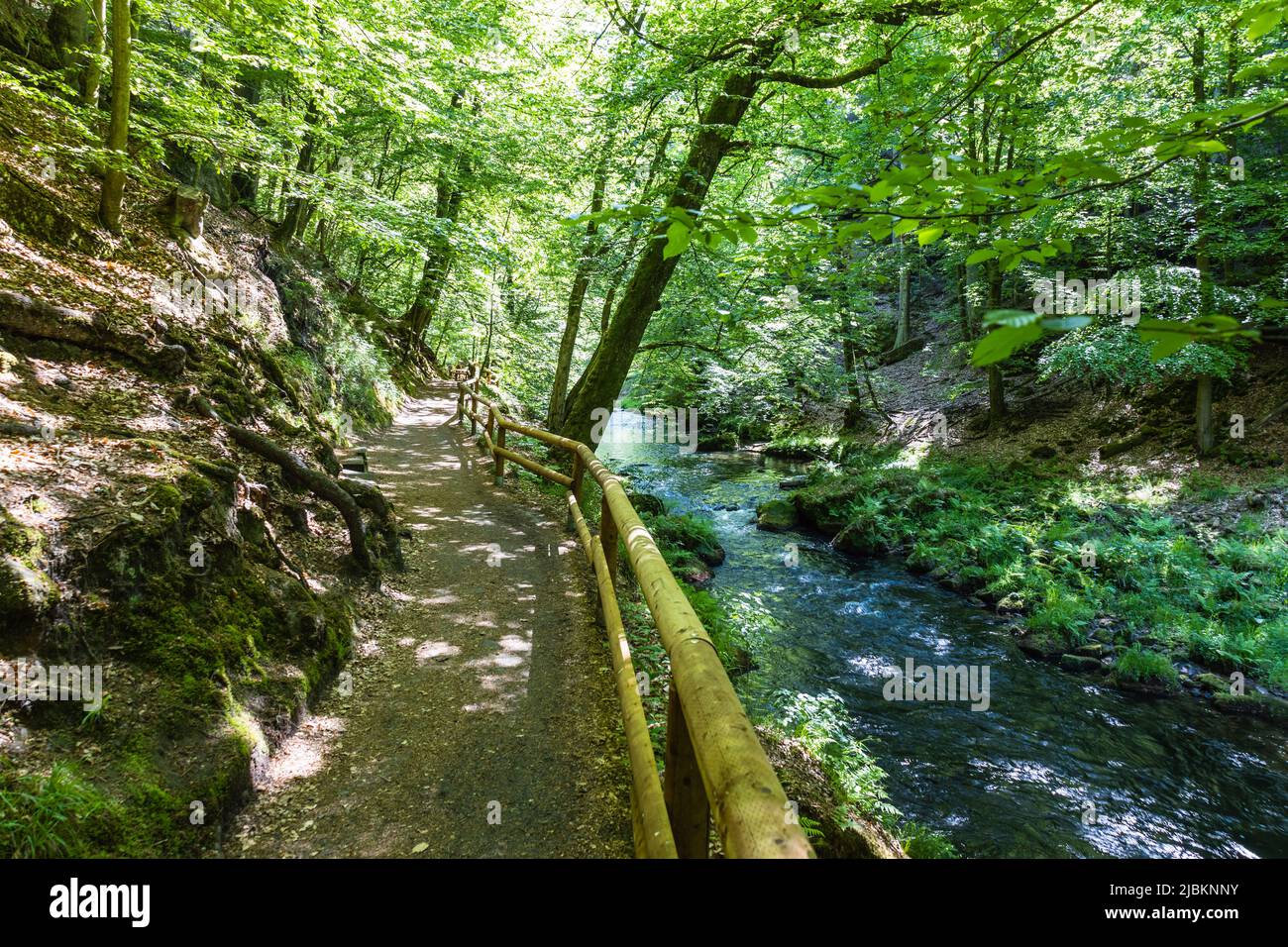 Walking path in Kamenice Gorge, Bohemian Switzerland National Park ...