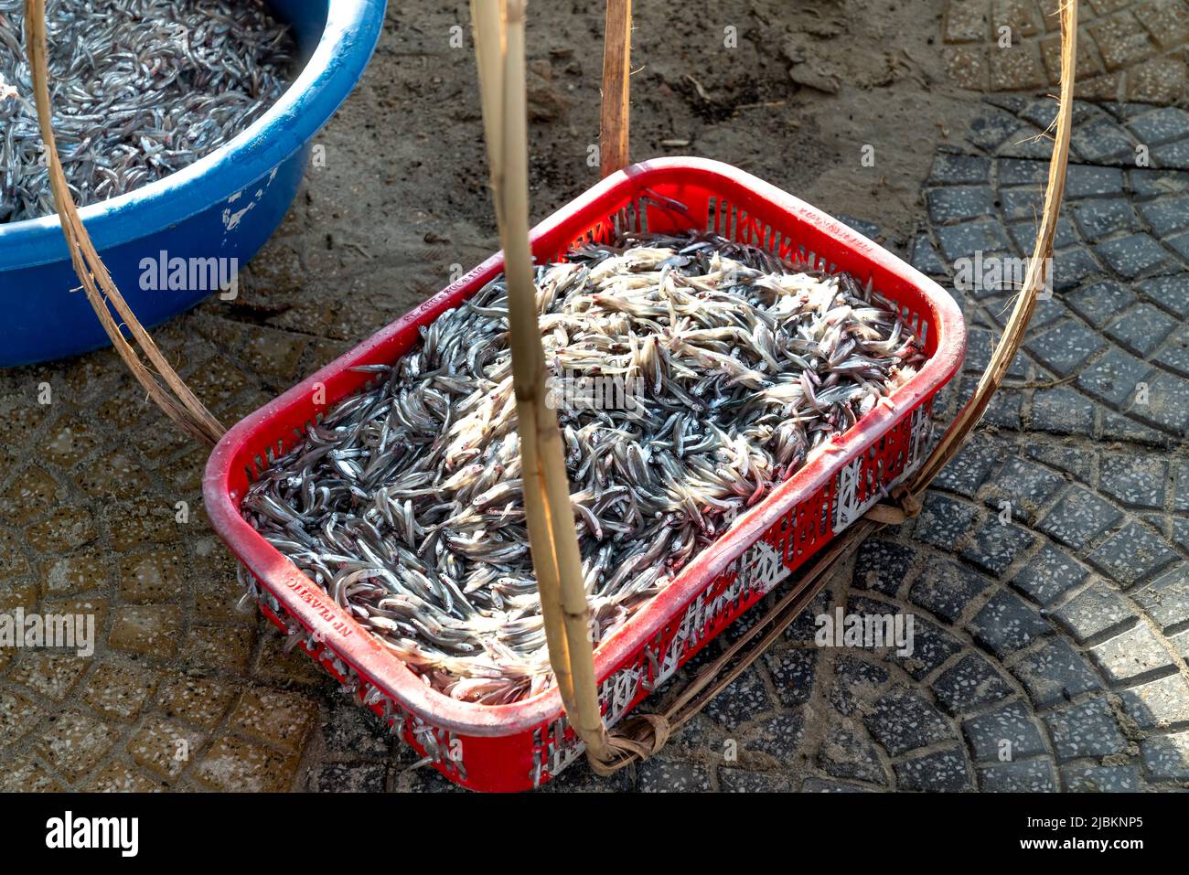 My Khe Beach, Da Nang City, Vietnam - April 30, 2022: A fisherman's ...