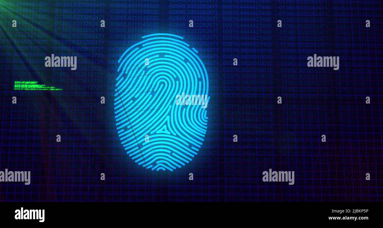 Left Slant Loop Fingerprint