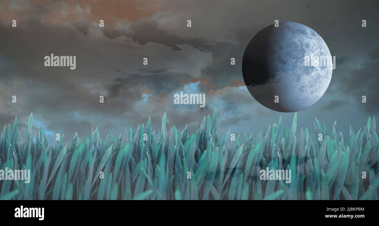 Beautiful landscape in grass hi-res stock photography and images - Alamy