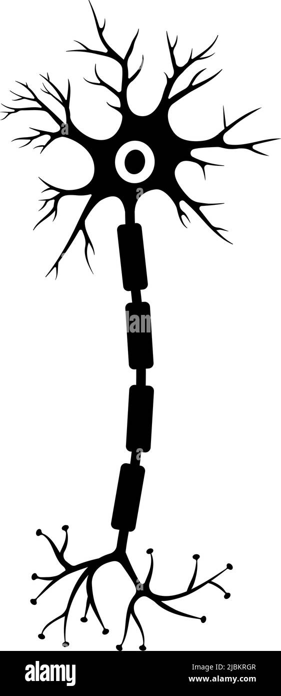 Brain neuron symbol. Human neuron cell sign. Synapses, myelin sheat ... Brain neuron symbol. Human neuron cell sign. Synapses, myelin sheat ...