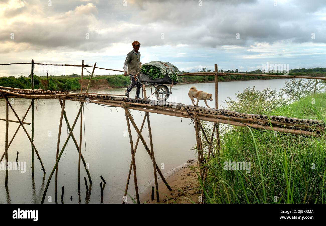 Vietnam bamboo footbridge hi-res stock photography and images - Alamy