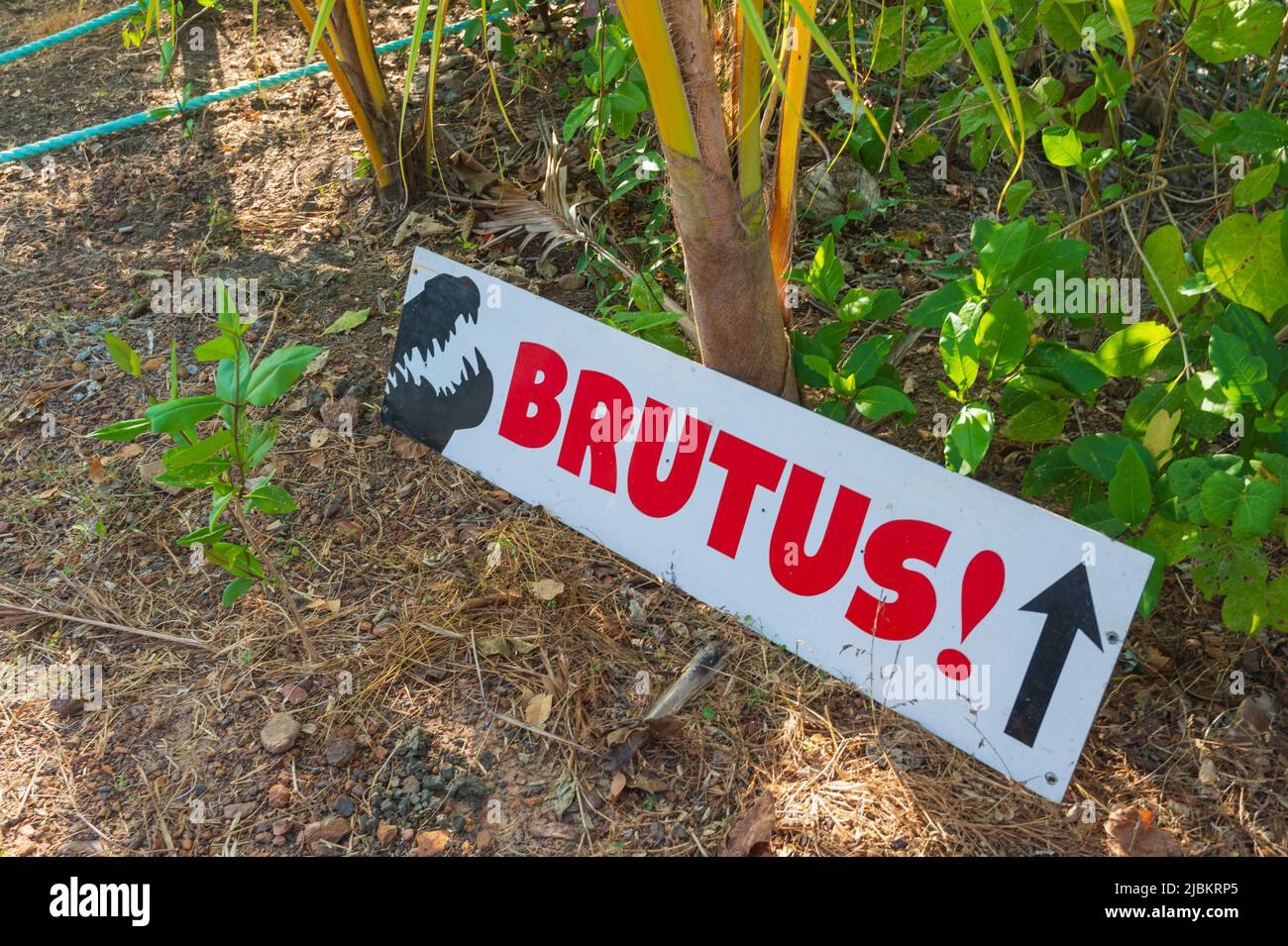 Sign pointing to Brutus, a famous large Saltwater Crocodile or ...