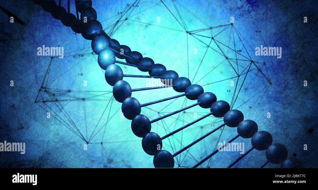 Image of dna strand pver network of connections on blue background ...