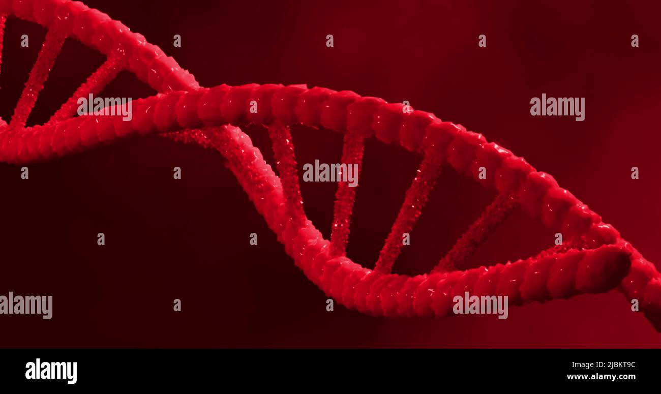 Red dna strand hi-res stock photography and images - Alamy