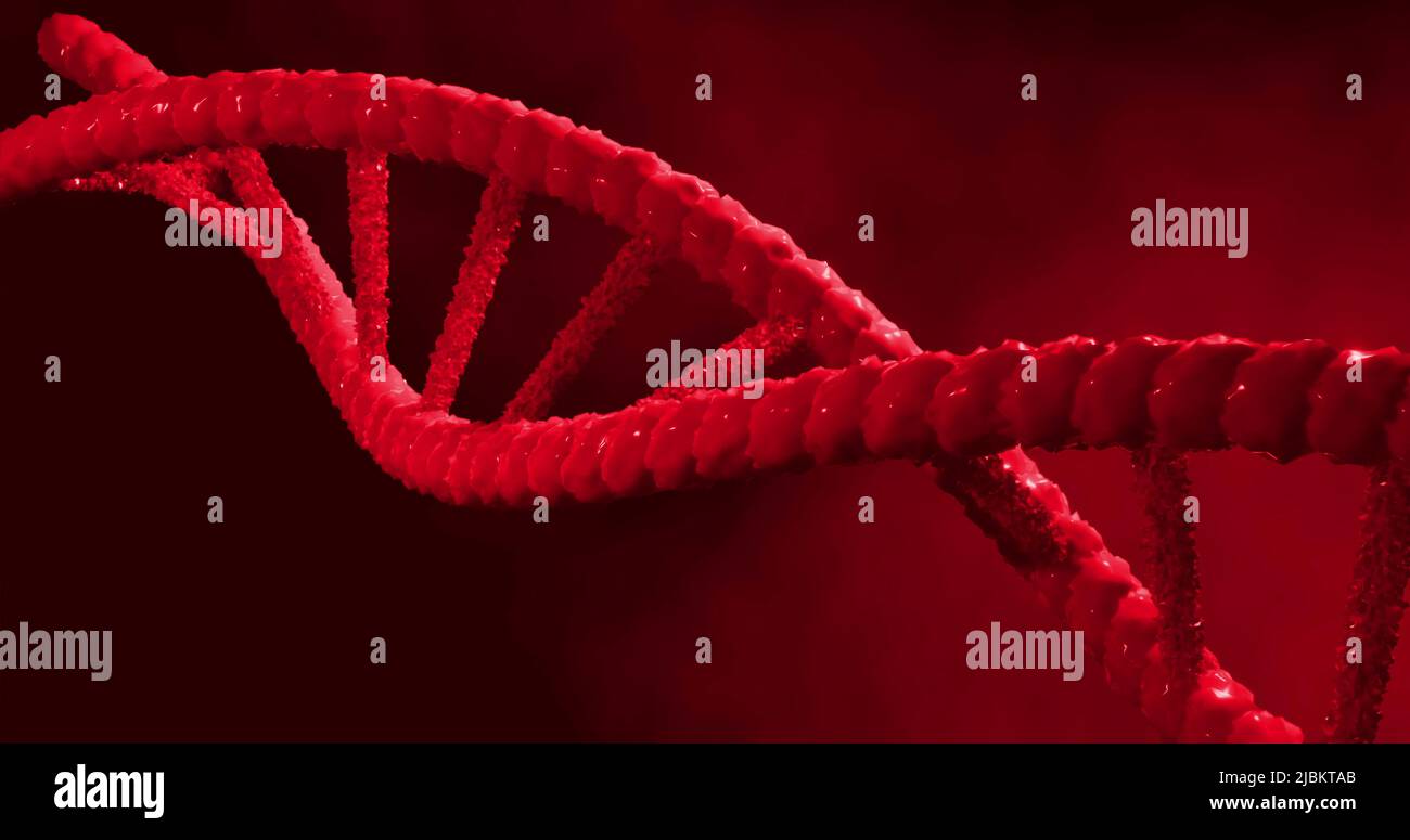 Red dna strand hi-res stock photography and images - Alamy