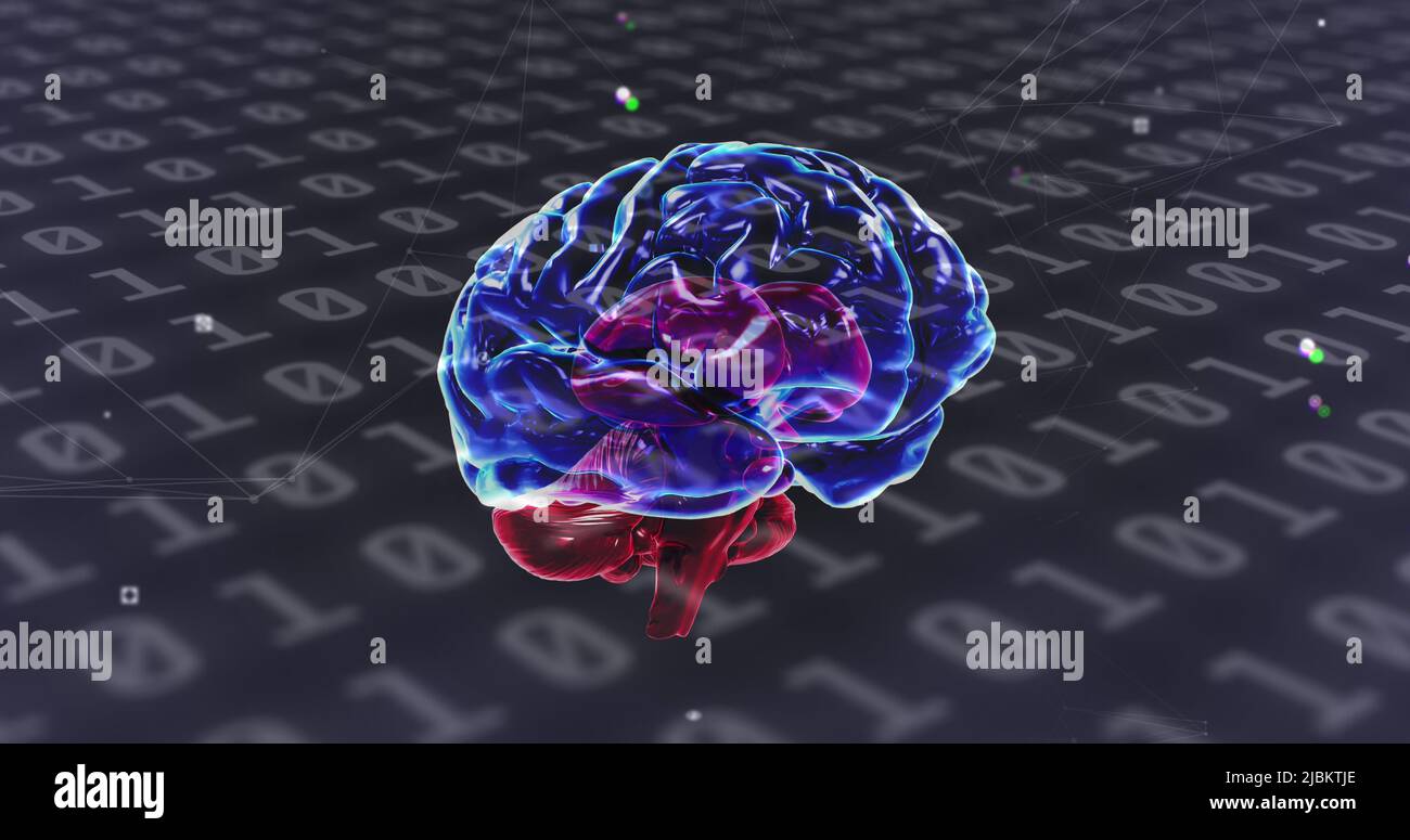 Digital Image Of Human Brain Spinning Against Binary Coding Data Processing On Grey Background