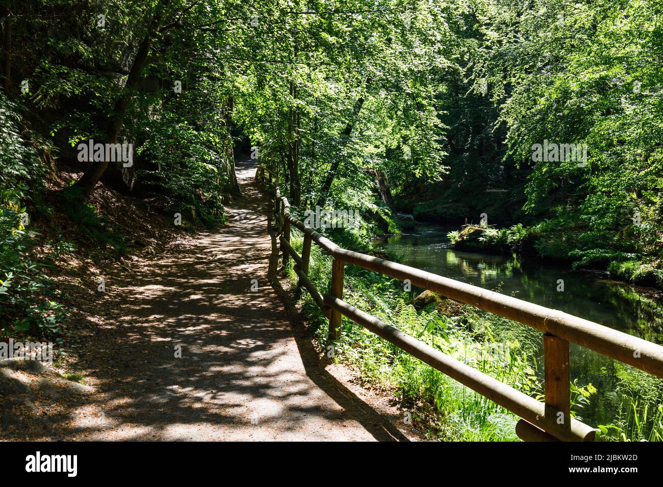Walking path in Kamenice Gorge, Bohemian Switzerland National Park ...
