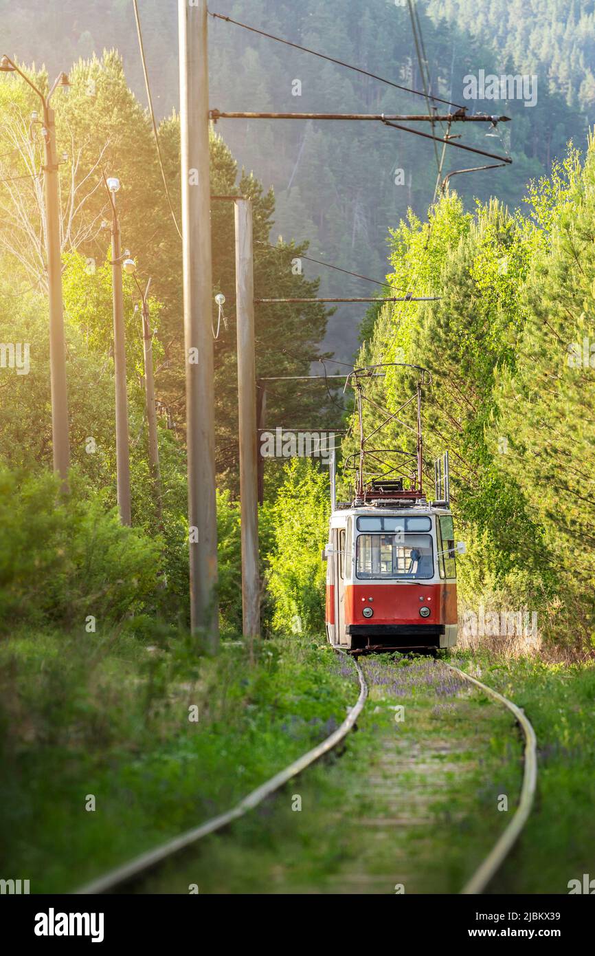 an old atmospheric tram in the forest against the background of ...