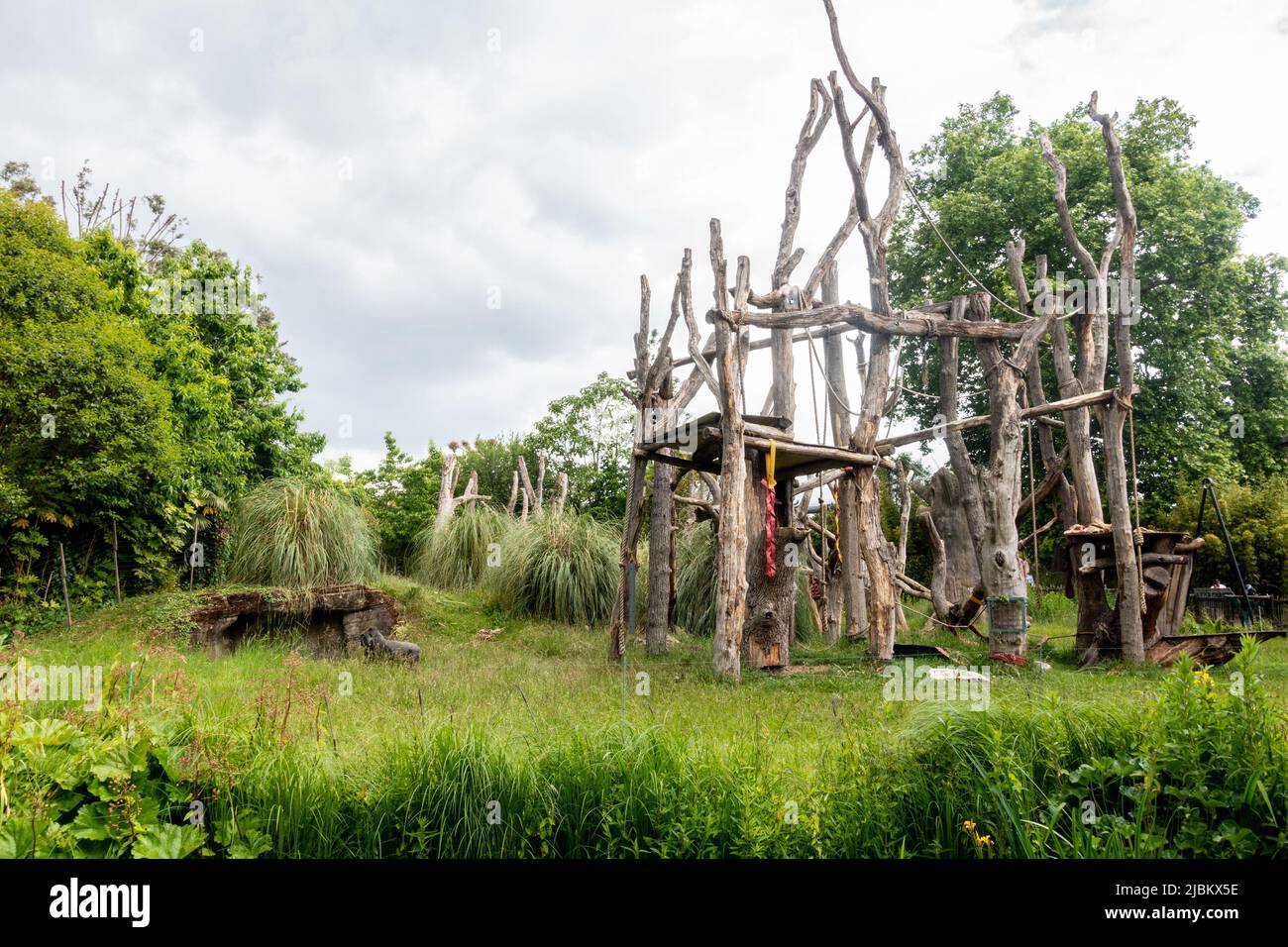 The gorilla enclosure with a climbing frame at London Zoo Stock Photo ...