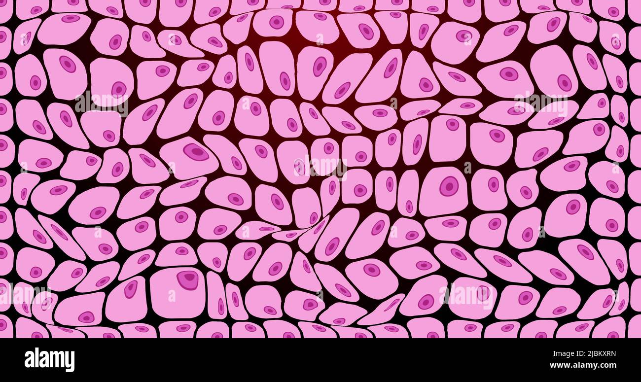 Image of pink cells moving on black background Stock Photo - Alamy