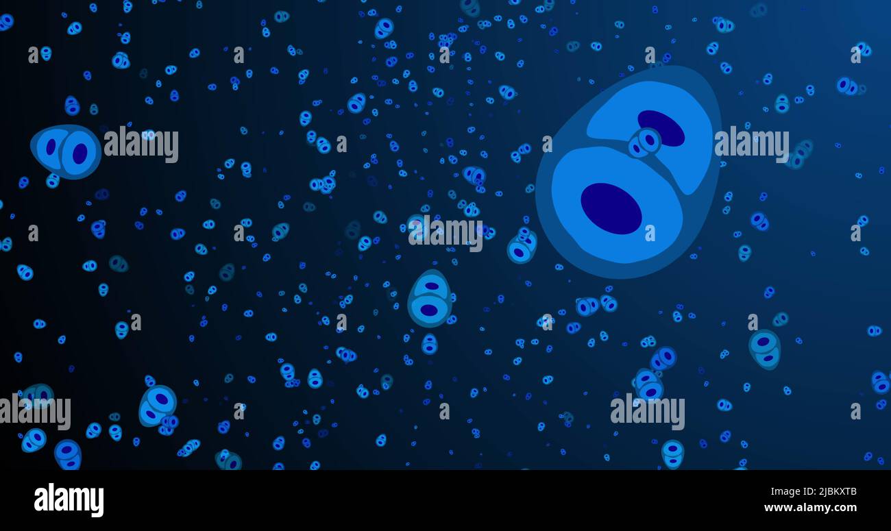 Image of blue cells moving on navy background Stock Photo - Alamy