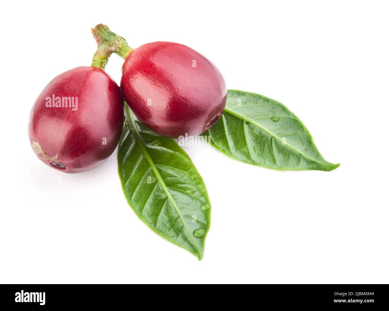 Fresh Red coffee beans isolated on white background Stock Photo - Alamy