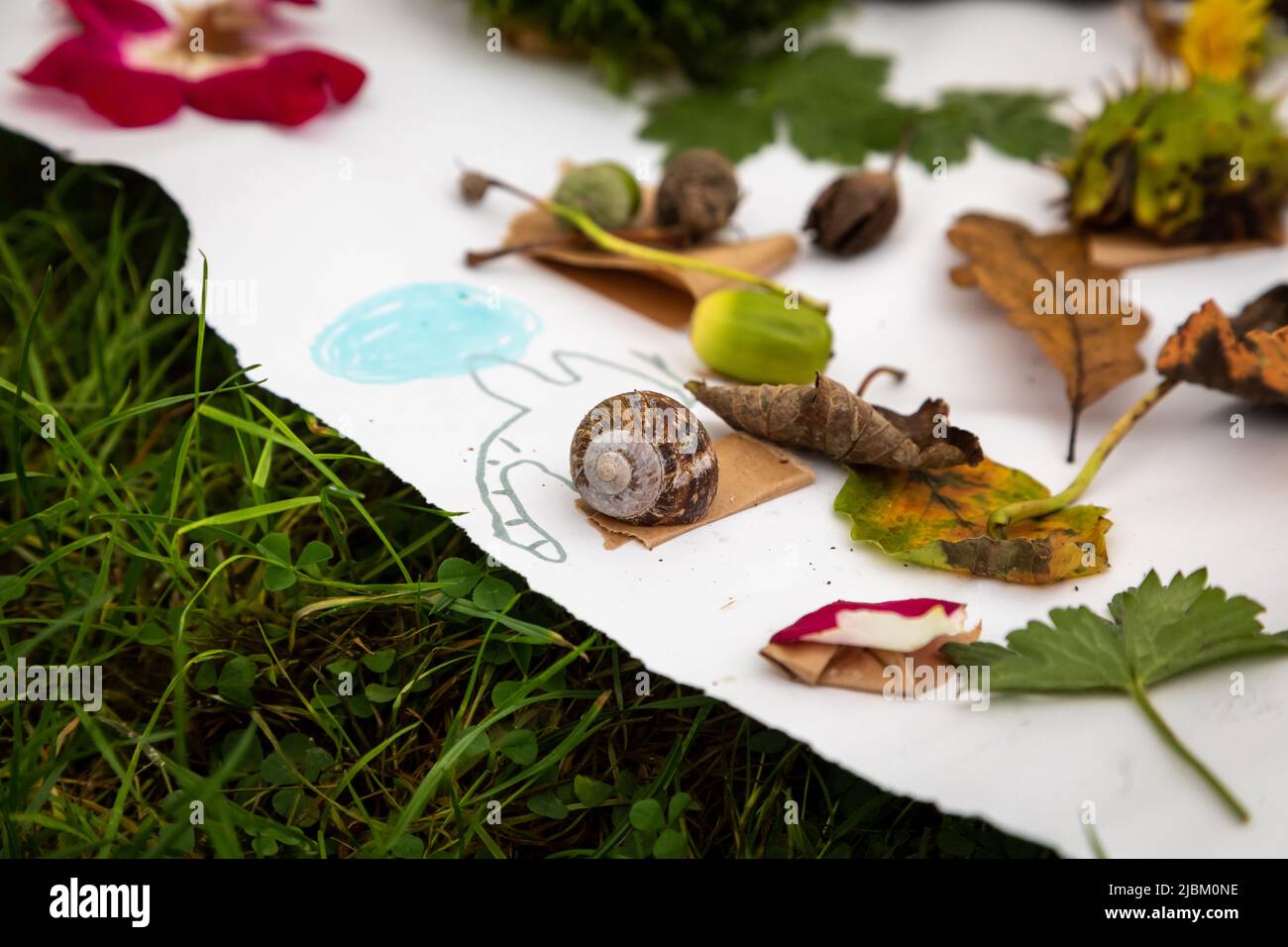 Generation Green - Outdoor Adventures Stock Photo - Alamy