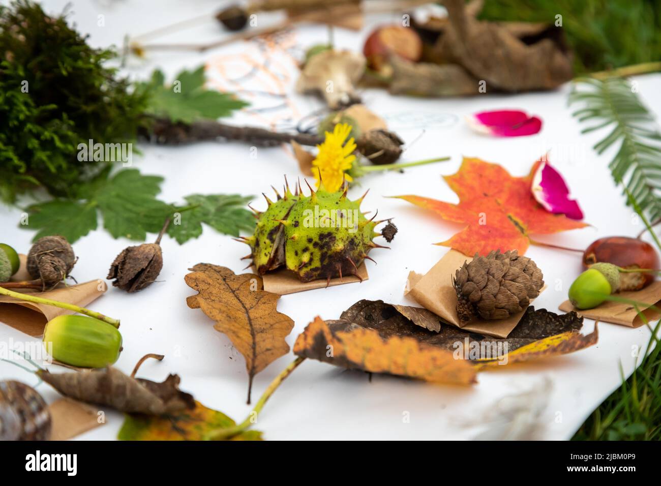 Generation Green - Outdoor Adventures Stock Photo - Alamy