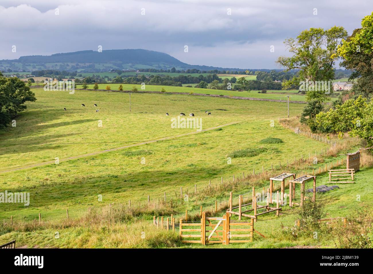 Generation Green - Outdoor Adventures Stock Photo - Alamy