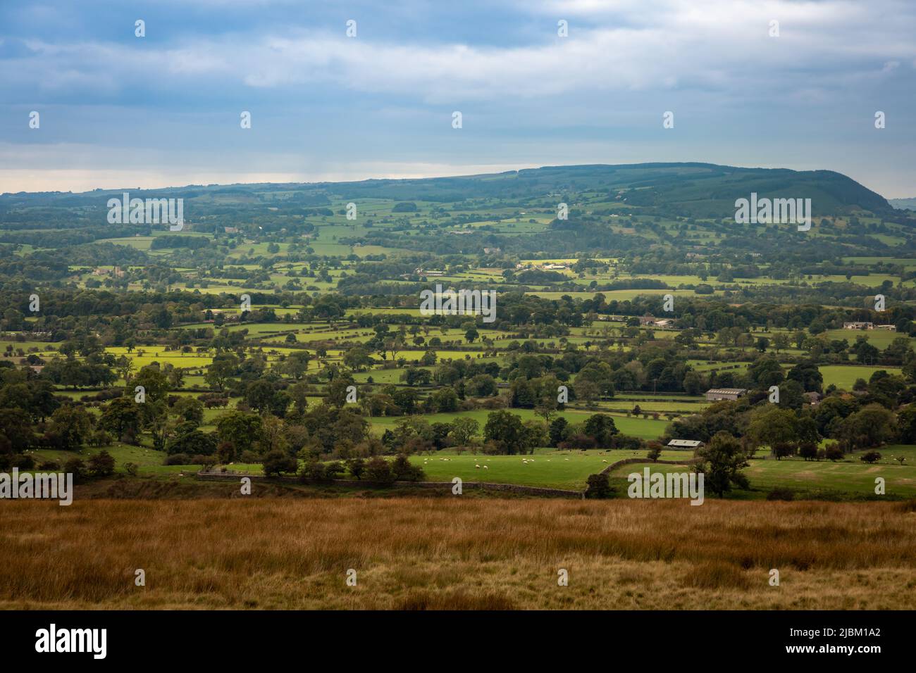 Generation green hi-res stock photography and images - Alamy