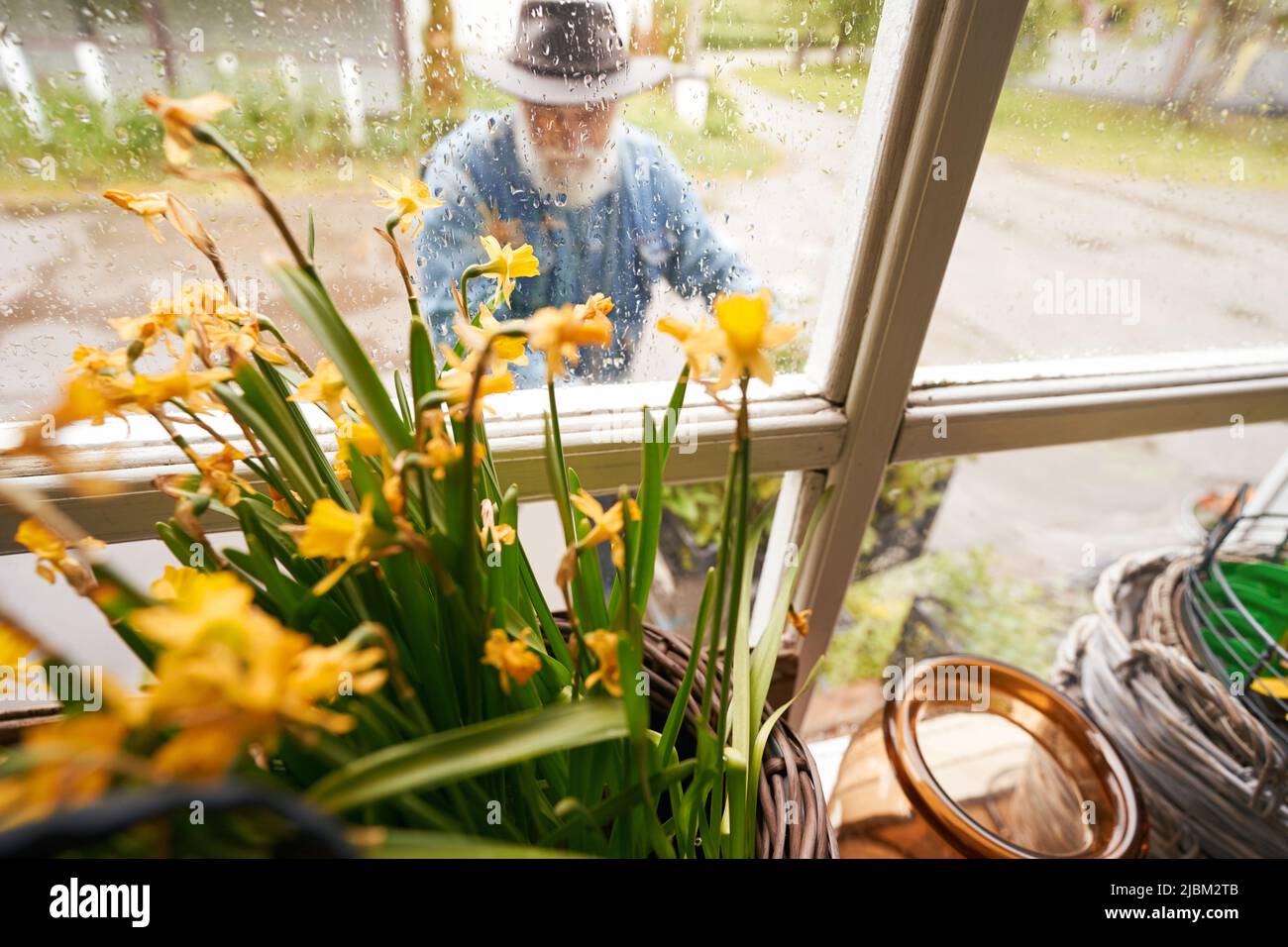 Aged man looking after plants near home Stock Photo - Alamy