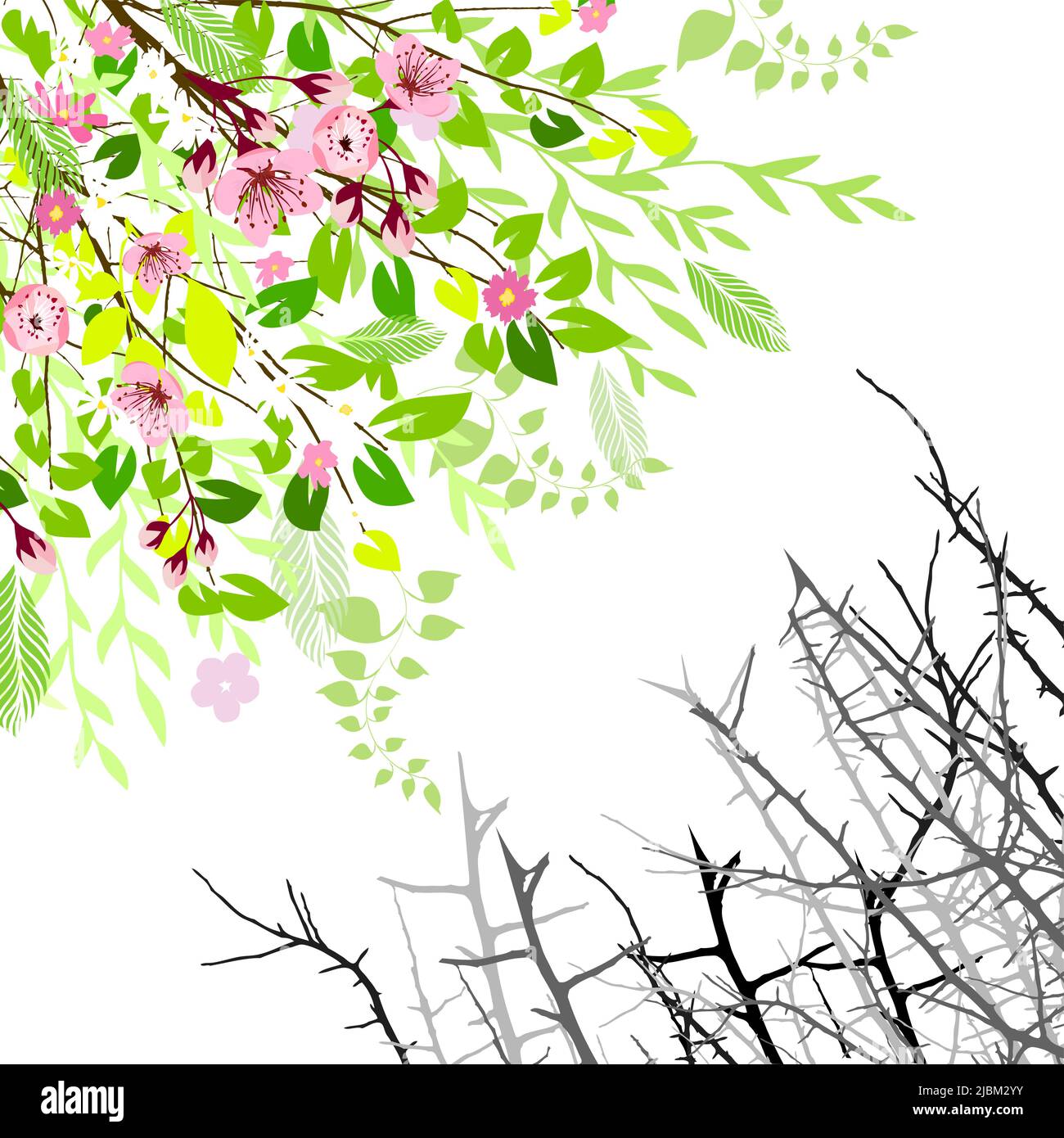 Contrast. Blooming garden and prickly. Vector illustration Stock Vector ...