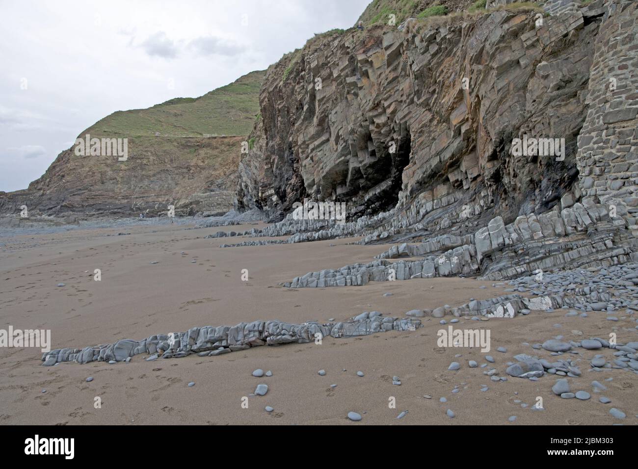 Dramatic faults and folds in cliffs at Welcombe Bay North Devon Stock ...