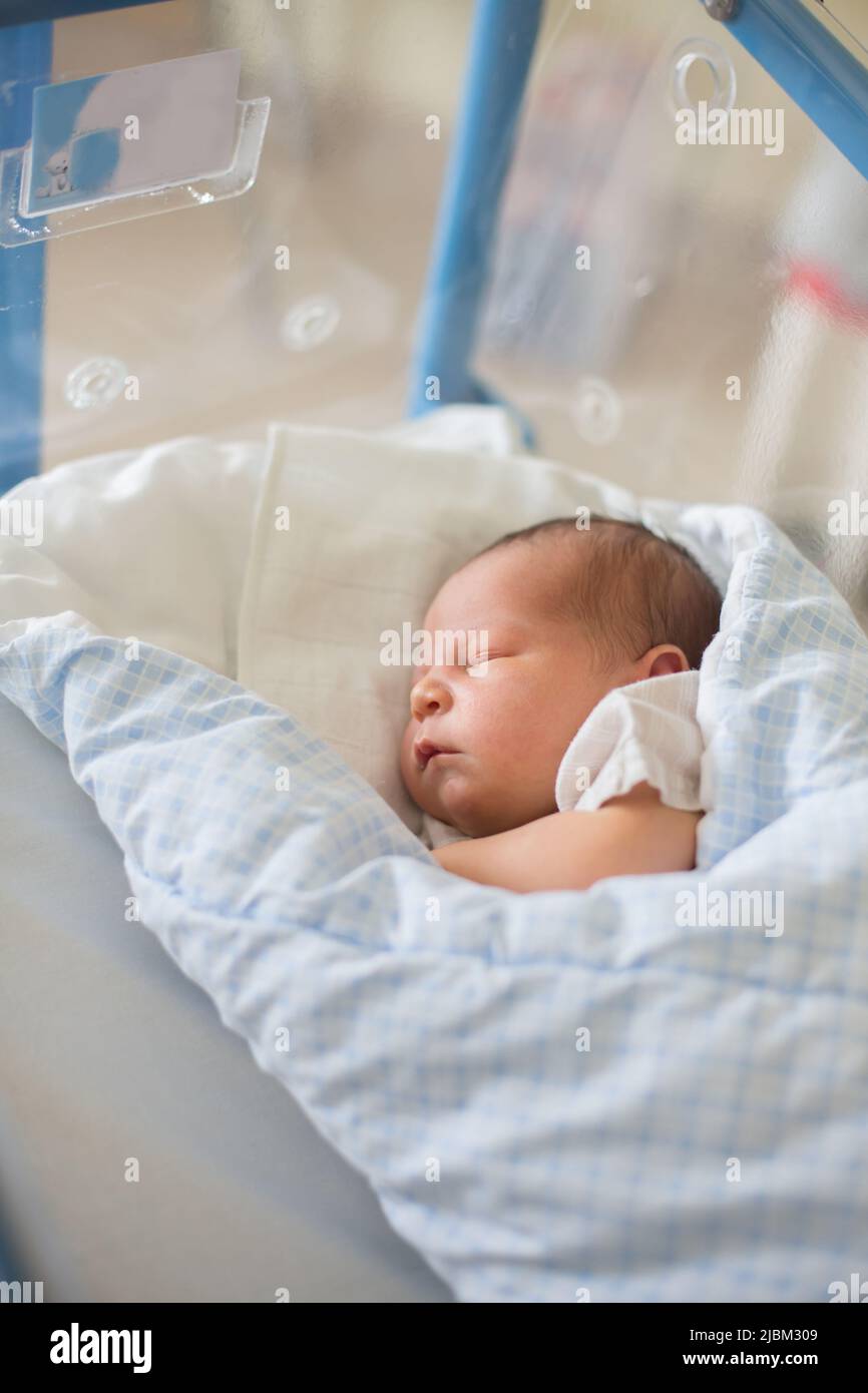 Beautiful Newborn Baby Boys In Hospital