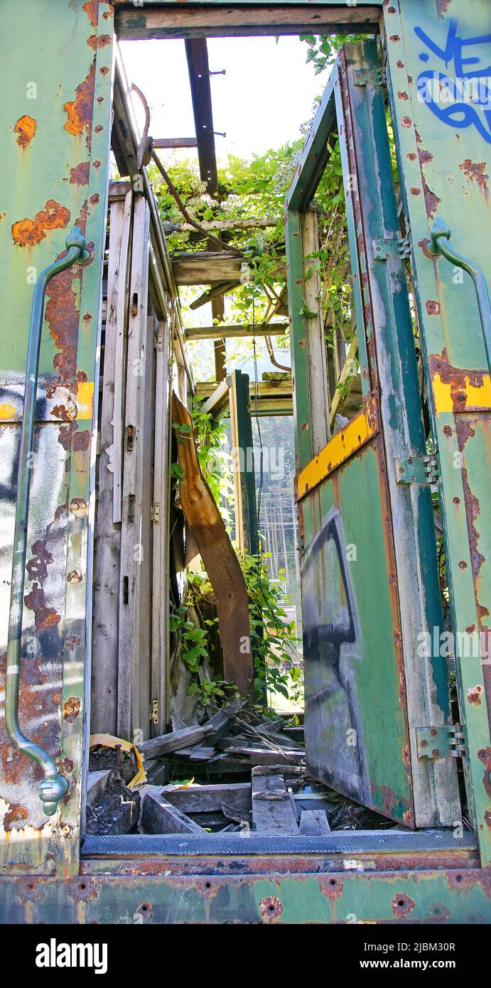 Abandoned train wagons destroyed by nature in the old Canfranc station ...