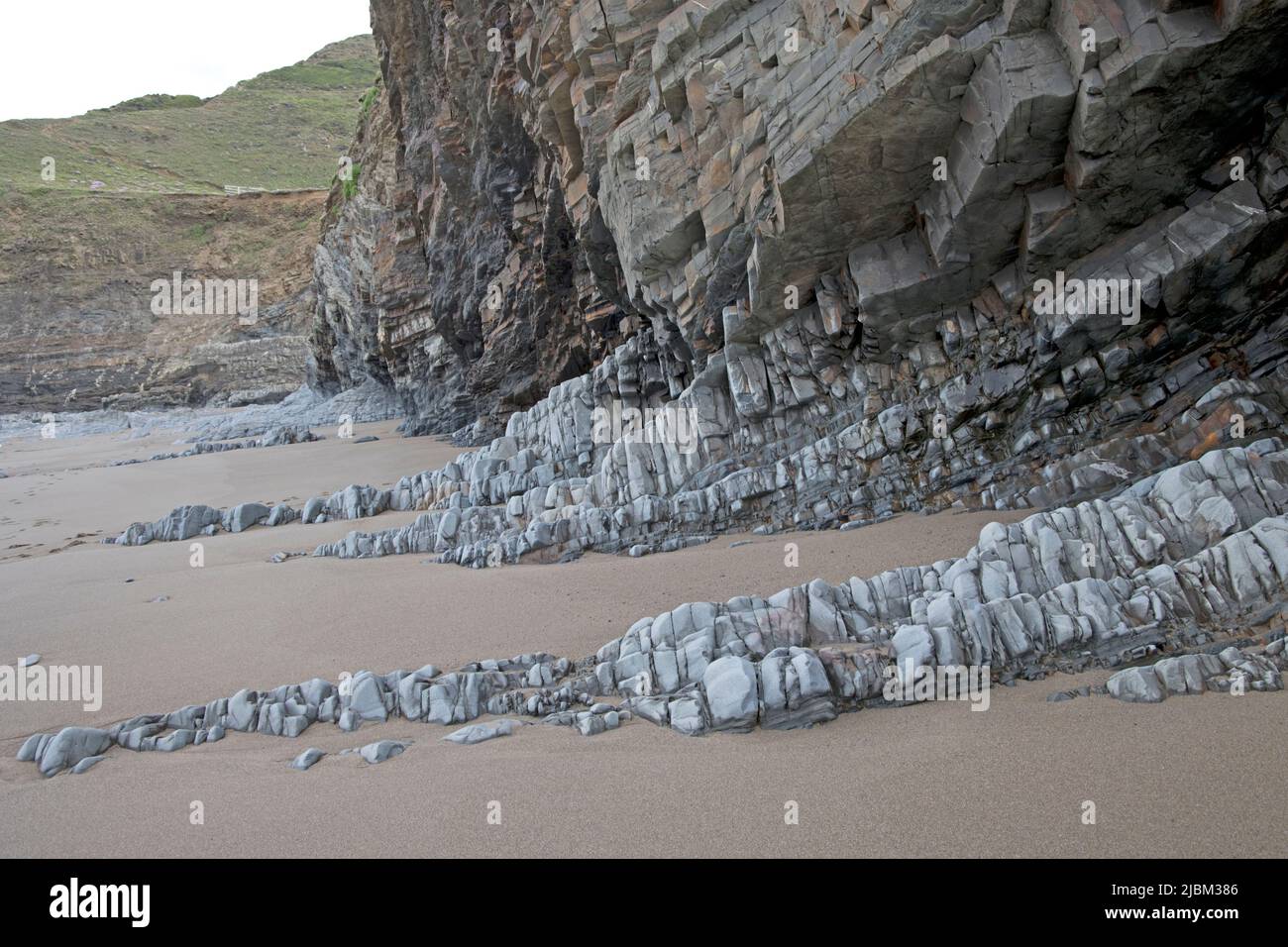 Dramatic faults and folds in cliffs at Welcombe Bay North Devon Stock ...